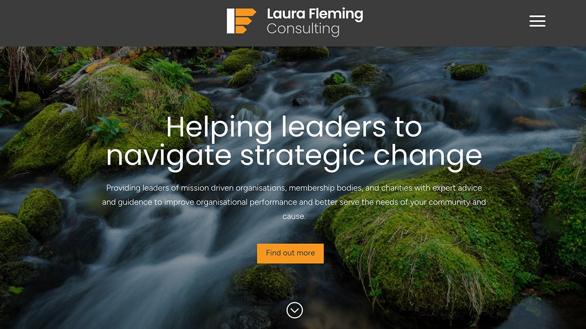 Laura Fleming Consulting | Helping leaders to navigate strategic change